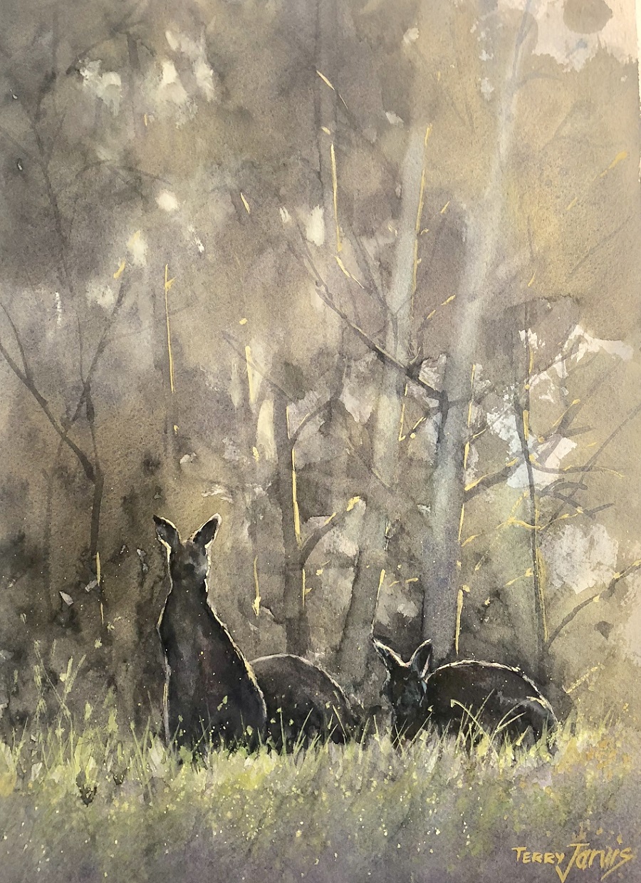 Terry Jarvis - OzArt Finder
